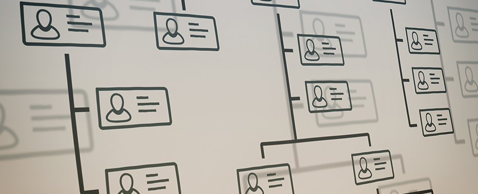 Draft Your Org Chart for Growth & Profit